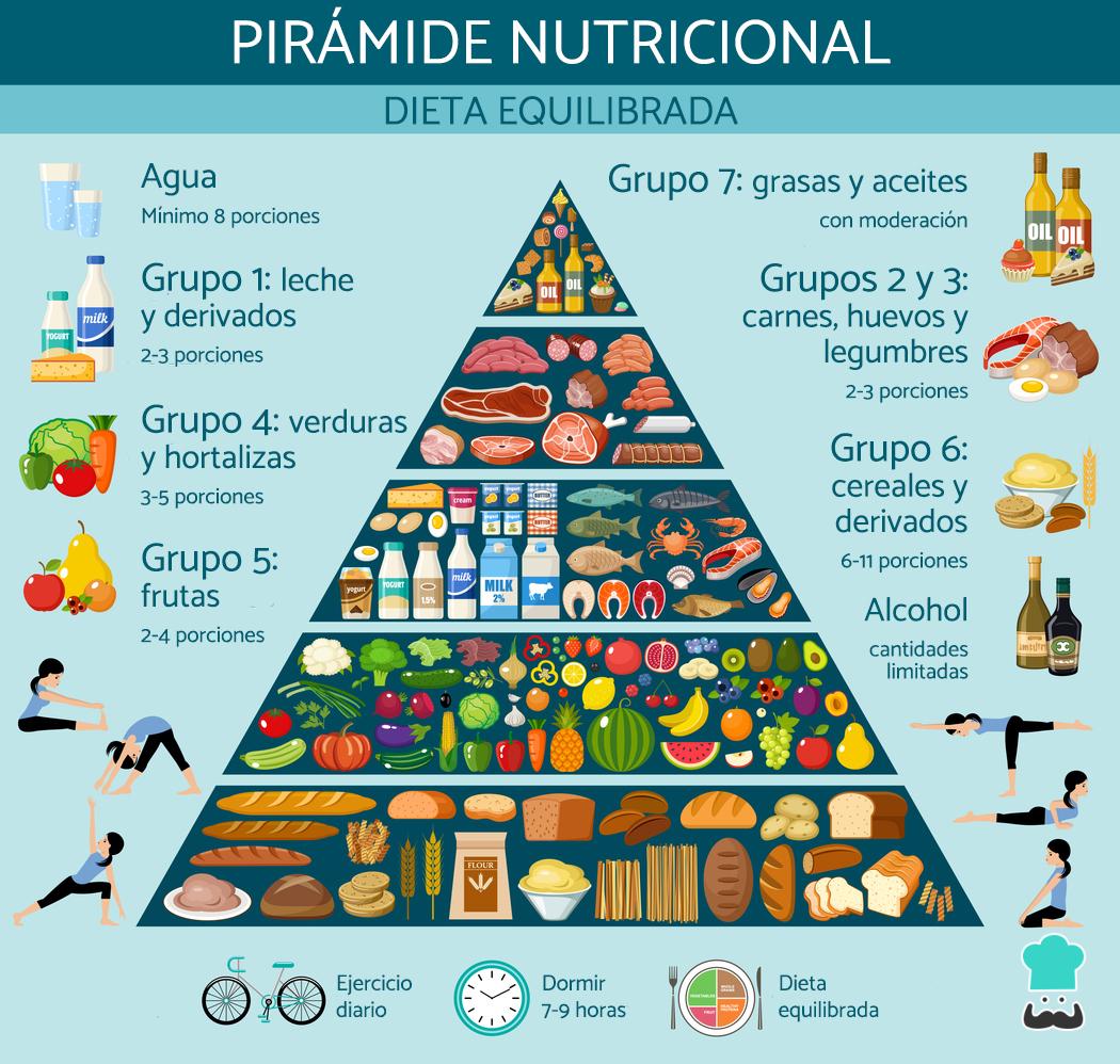 Cuáles Son Los GRUPOS DE ALIMENTOS Básicos y Sus Nutrientes