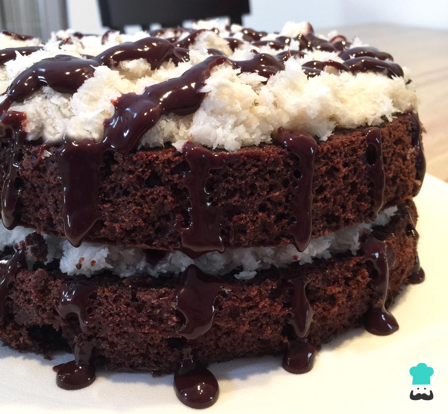 Bizcocho De Chocolate Y Coco Rallado Torta Prestigio