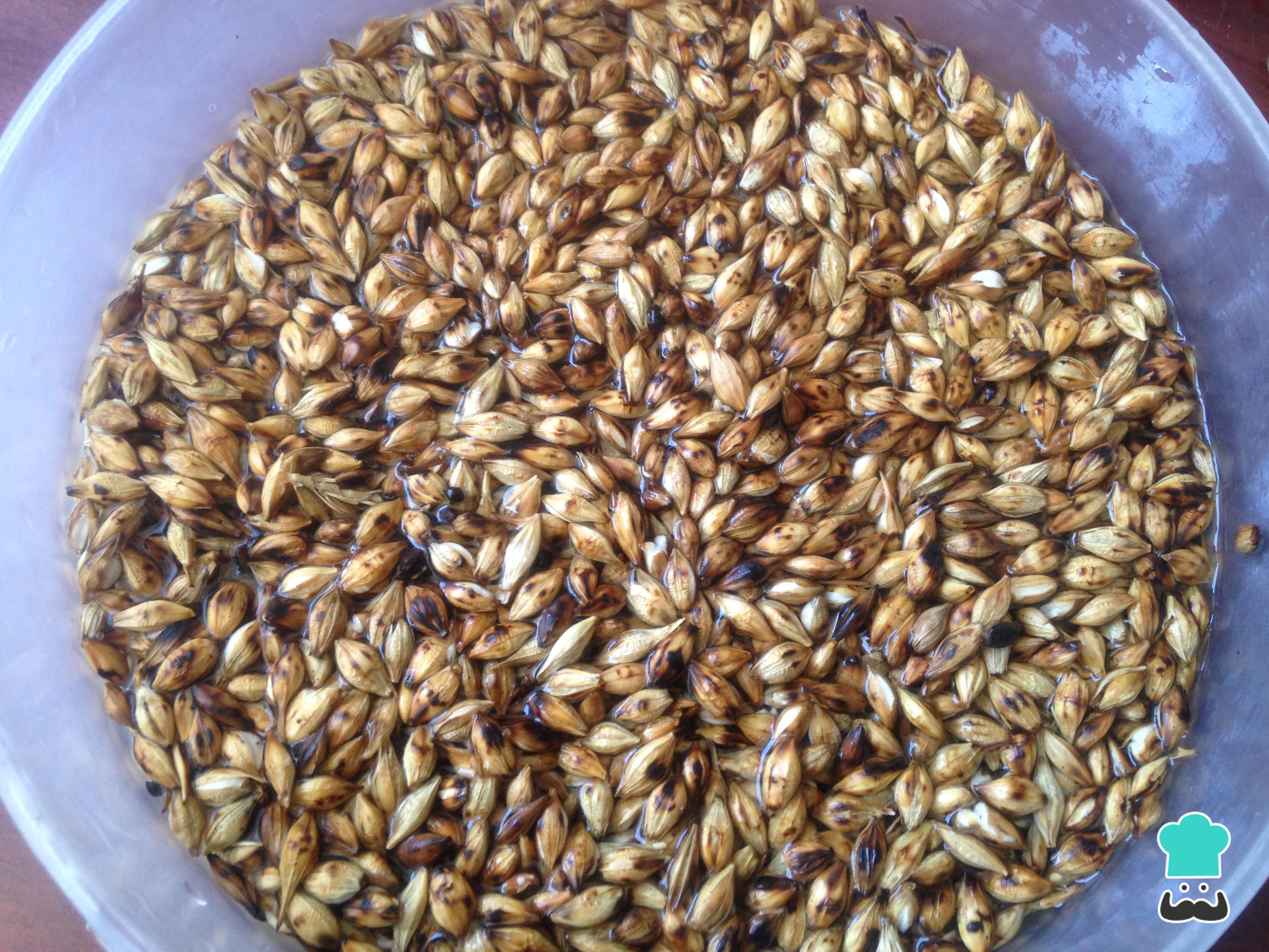 Agua de cebada - ¡Receta y beneficios!