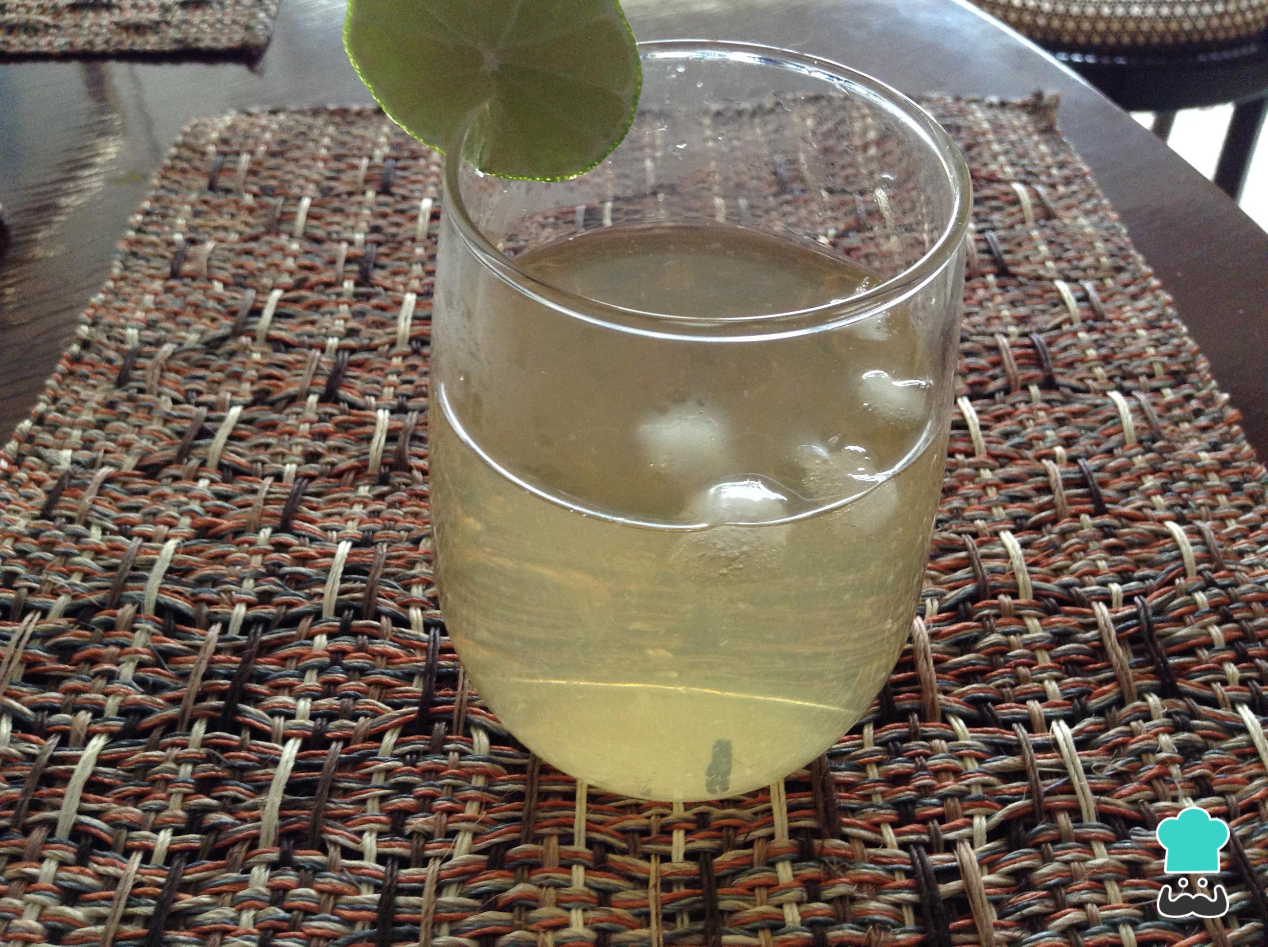 Té helado - Receta FÁCIL y RÁPIDA