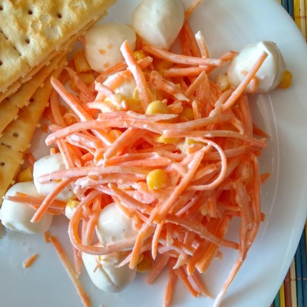 Zanahoria Rallada Ensalada De Zanahoria Rallada Con Salsa De Aguacate